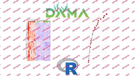 Pathway Enrichment With Gprofiler Clusterprofiler And Fgsea Eshoptrip