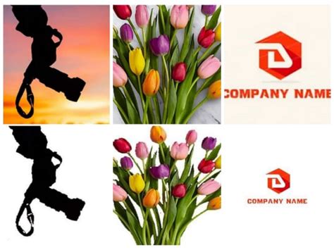 Do Photo Background Removal Cropping And Look Enhancement By Desinia Fiverr