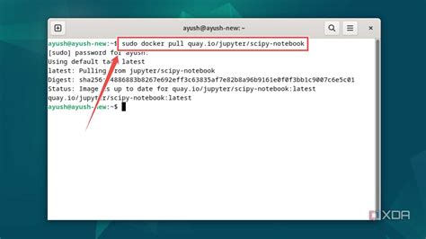 I Self Host Jupyter Notebook To Work On My Python Projects Heres How