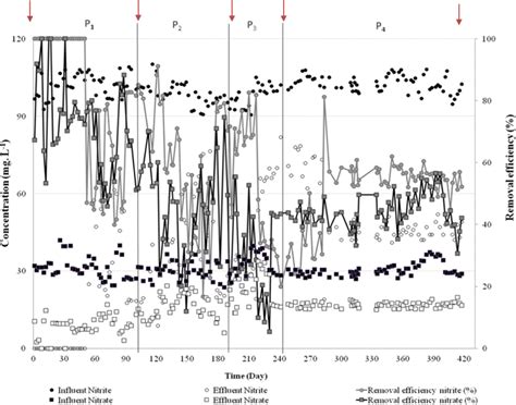 Performance Of The Bioreactor Nitrite And Nitrate Concentrations In