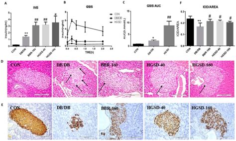 the effect of bbr and hgsd on insulin secretion and islet morphology in