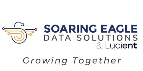 soaring eagle data solutions acquires lucient usa expanding their business intelligence