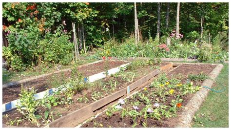 Місячний посівний календар на квітень 2024 що і коли робити в саду та городі Читайте на Ukr Net