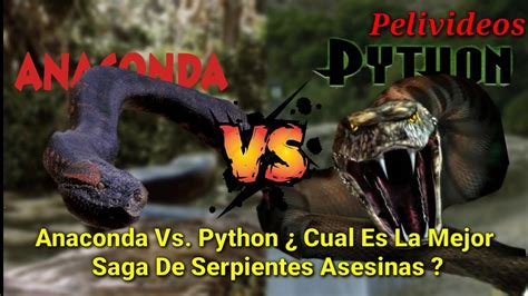 Serpiente Piton Vs Anaconda At Bradley Glatt Blog