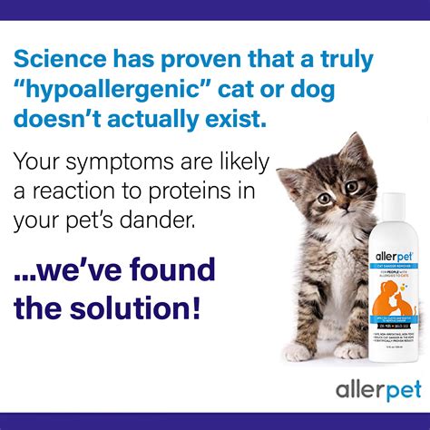 Cat Allergy Symptoms In Cats