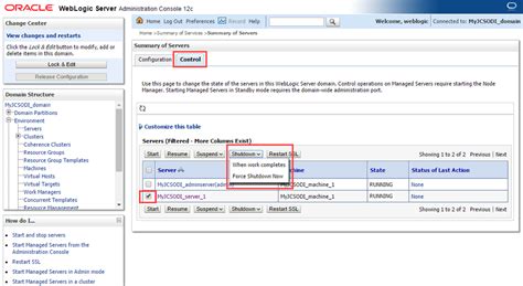 Provisioning Oracle Data Integrator Cloud Service