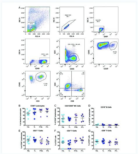 Decidual Immune Cell Population Analysis In Term And Ptl Flow Download Scientific Diagram