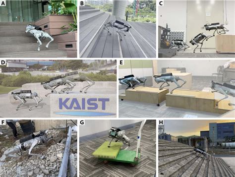 논문 리뷰 Obstacle Aware Quadrupedal Locomotion With Resilient Multi Modal Reinforcement Learning