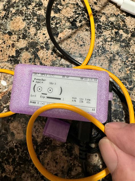 Pwnagotchi Pwnagotchi For Sale Buy Pwnagotchi Biscuit Shop