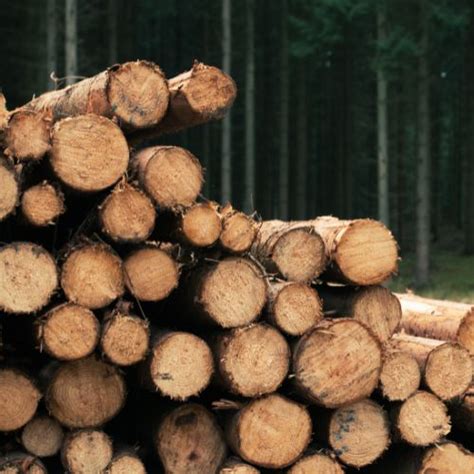 How To Store Logs Outside Uk Ultimate Guide Posh Living Magazine