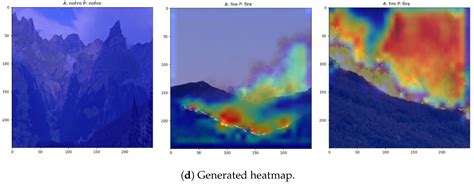 An Attention Guided Deep Learning Based Network With Bayesian Optimization For Forest Fire