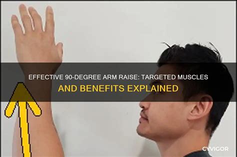 Effective 90 Degree Arm Raise Targeted Muscles And Benefits Explained