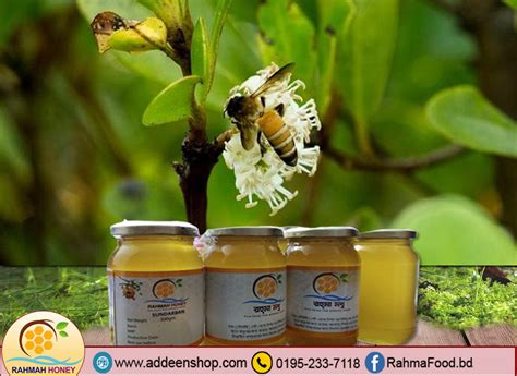 Hayataan খলিশা ফুল। বিশ্বের সর্ববৃহৎ ম্যানগ্রোভ বন সুন্দরবন মধুর স্বর্গরাজ্য। সুন্দরবনে যেসব