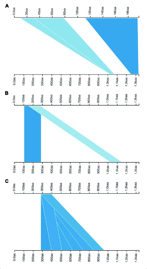 Visualization Of Pairwise Alignments The Alignments Between Queries Download Scientific