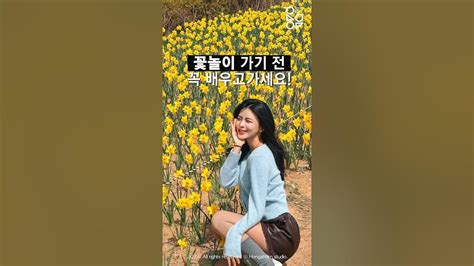 꽃사진 찍을 때 봄 꽃놀이 명소에서 꽃축제 가기전에 꼭 배우고 가세요🌼 사진잘찍는법 사진강의 스마트폰사진 Youtube