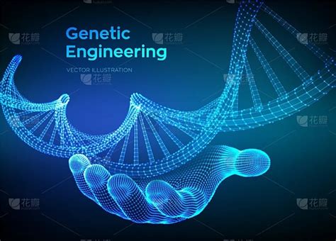 Dna序列在手。线框dna分子结构网。dna代码可编辑模板。科学技术概念。矢量插图。素材 花瓣网