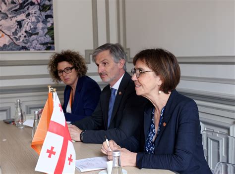 გარემოს ემანუელ სობერიონმა მადლობა გადაუხადა დავით სონღულაშვილს საფრანგეთში ვიზიტისთვის „ეს