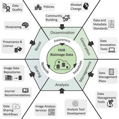Six Facets Of Fair Bioimaging Data Data Generation Data Management Download Scientific