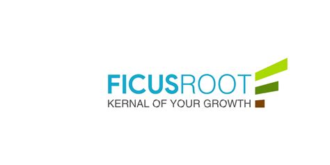 Ficusroot Software Solutions Linkedin