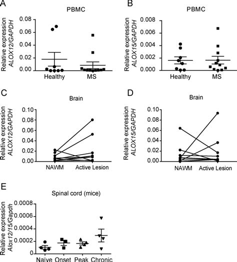 Expression Of Lipoxygenase 12 And 15 In Ms Patients And Lipoxygenase Download Scientific