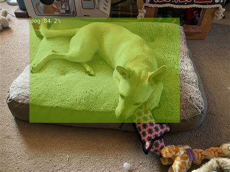 Detect Objects In Video And Images Arm Learning Paths