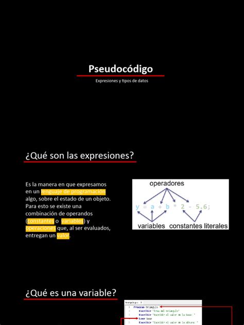 Pseudocódigo Tipos De Datos Pdf Variable Informática Tipo De Datos