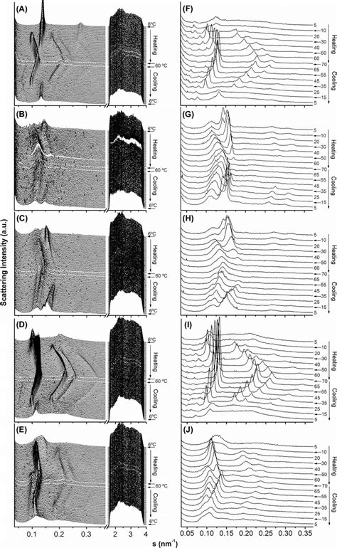 Sequence Of X Ray Diffraction Scattering Patterns From Reconstituted