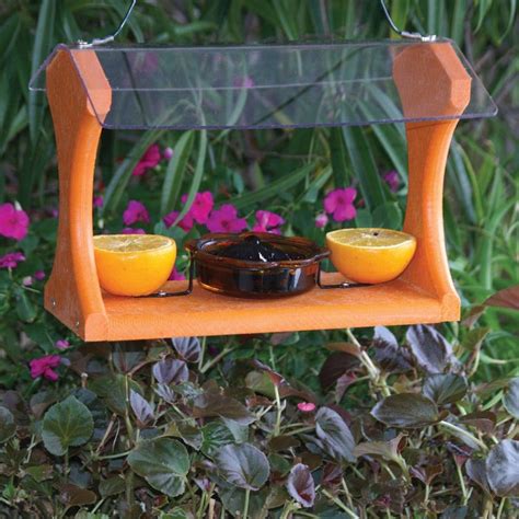 Shop Woodlink Going Green Plastic Oriole Feeder At