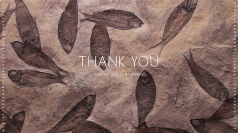 Fossil Templates Ppt