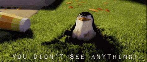 You Didn T See Anything You Didnt See Anything Penguins Of