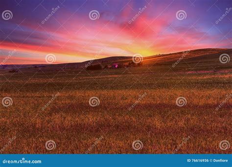 Green Grass Field Landscape Under Sun Fall Sunset Sky With Soft Clouds