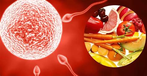 Which Food Increase Sperm Count In Male Gaudium Ivf