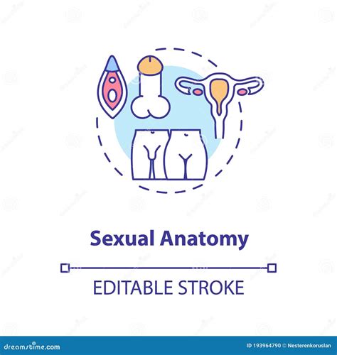 Sexual Anatomy Concept Icon Stock Vector Illustration Of Circle Anatomy 193964790 Sexual Anatomy Concept Icon Stock Vector Illustration Of Circle Anatomy 193964790
