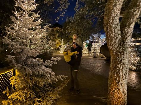 Wishing Everyone Who Celebrates It A Very Merry Christmas And Everyone Else A Hopefully Quiet