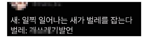 더쿠 일찍 일어나는 새가 벌레를 잡는다