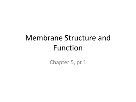 PPT Membrane Structure And Function PowerPoint Presentation Free Download ID