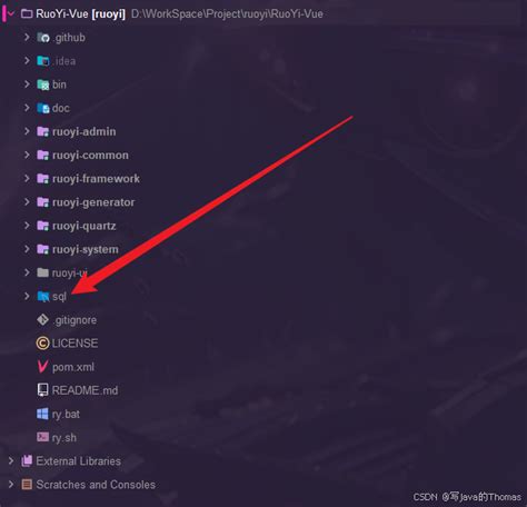 从零开始，若依启动【保姆级教程】 Csdn博客