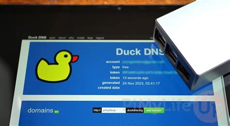 How To Set Up Duck Dns On The Raspberry Pi Pi My Life Up