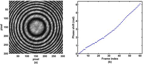 a one of experimental phase shifted fringe patterns b phase shifts