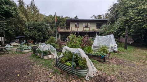 Lawnhub Live At Lunch Ep58 Watch Lawnhub Live At Lunch Now By