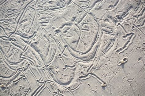 Premium Photo Patterns On Freshly Poured Concrete Surface