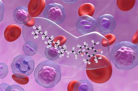 Vitamin E Molecule Illustration Stock Image F0407233 Science
