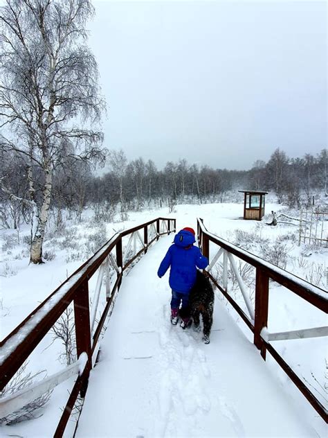 ХУСХАН эх хүүхдийн амралт Home Facebook