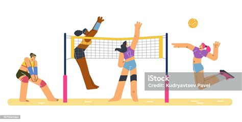 팀 스포츠 게임 벡터 격리된 그림 코트에서 배구를 하는 여성 배구 대회 개념에 대한 스톡 벡터 아트 및 기타 이미지 개념 경기 스포츠 경쟁 Istock