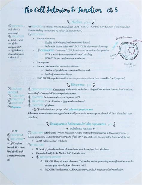 Aesthetic Notes Template Word Free Download