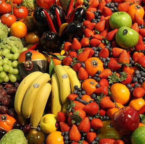 მისამართი დიდი დიღომი თინათინის ქუჩა ნომერი 20 სამშობიარო იმედის