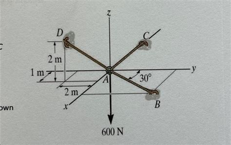 Solved Please Draw The Free Body Diagram Thanks Draw The Chegg