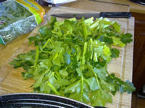 ΧΟΙΡΙΝΟ ΚΟΤΣΙ ΛΕΜΟΝΑΤΟ ΜΕ ΣΕΛΙΝΟΡΙΖΑ ΚΑΙ ΣΕΛΙΝΑ Koykoycook