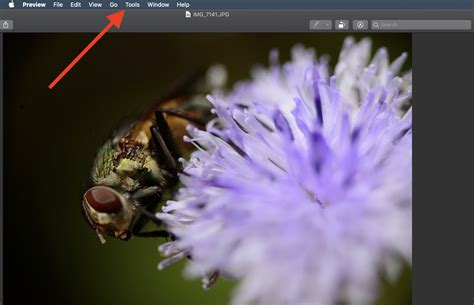 Exif Tools To View Exif Data On Your Iphone Ipad Android Windows And