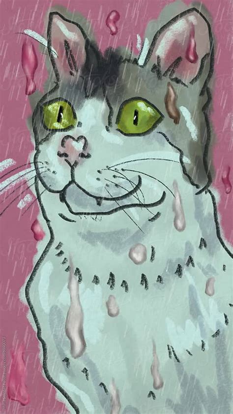 Animation Of A Cat With Dilated Pupils By Stocksy Contributor María Soledad Kubat Stocksy